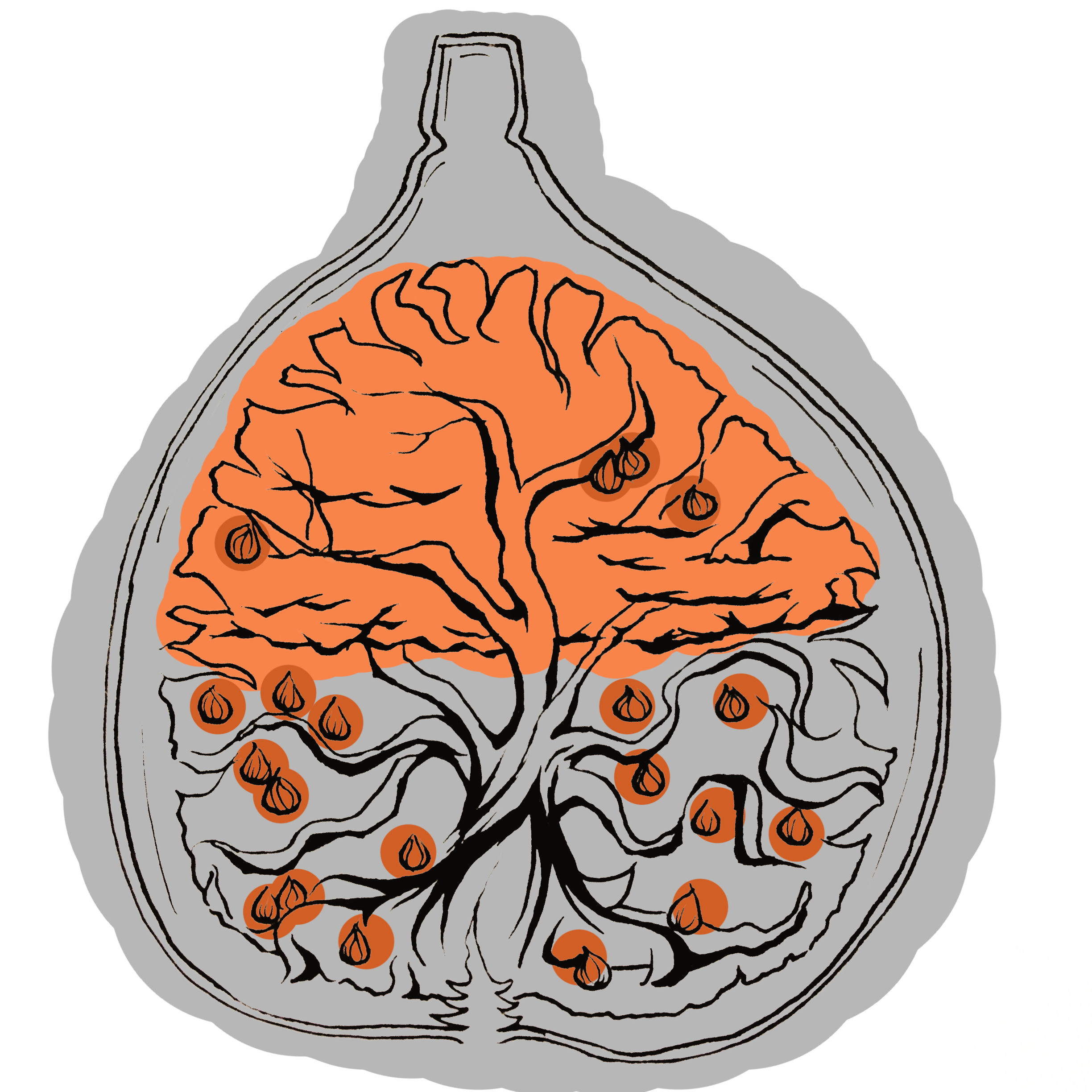 The Stanford Fig Tree, or what to do with your life