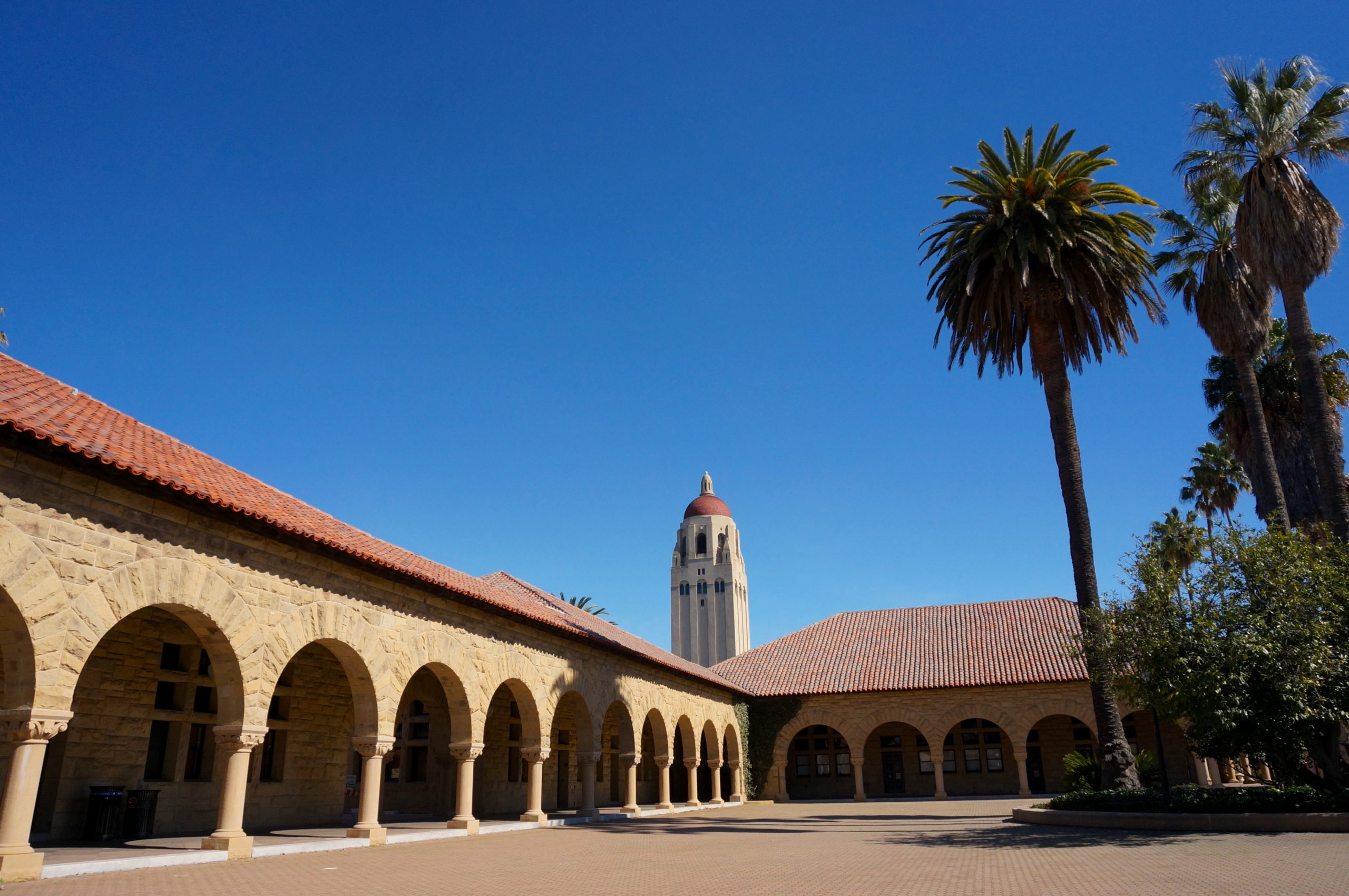 Stanford to continue legacy admissions, reinstate standardized test ...