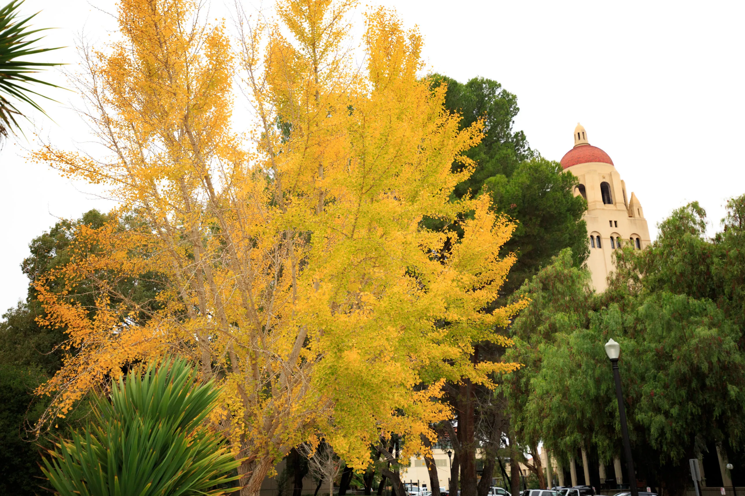 Throwback: The colors of autumn quarter