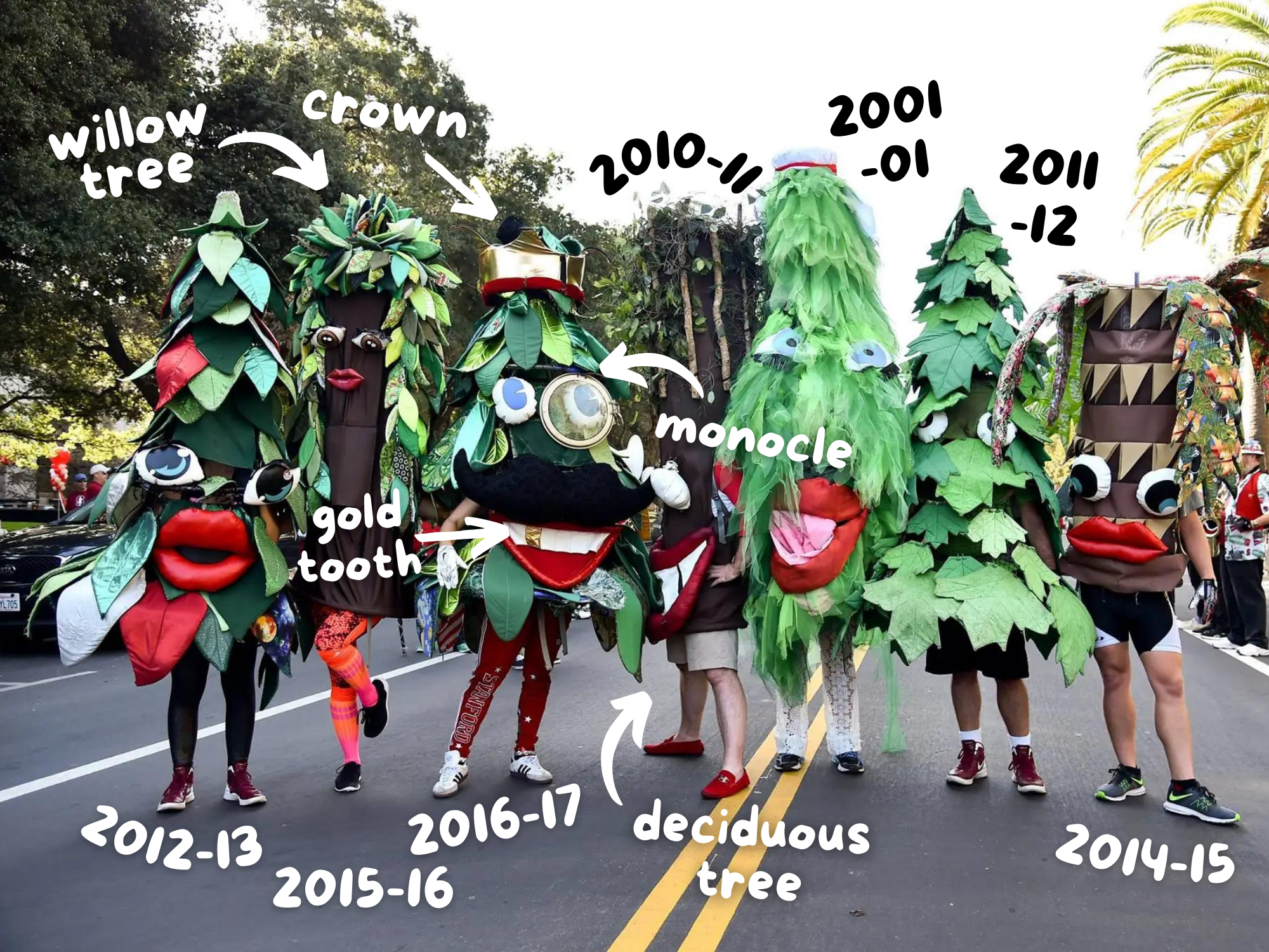 The tree-mendous Stanford mascot is fir real the best