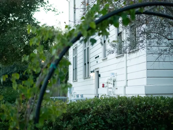 Articles about sexual assault report - The Stanford Daily