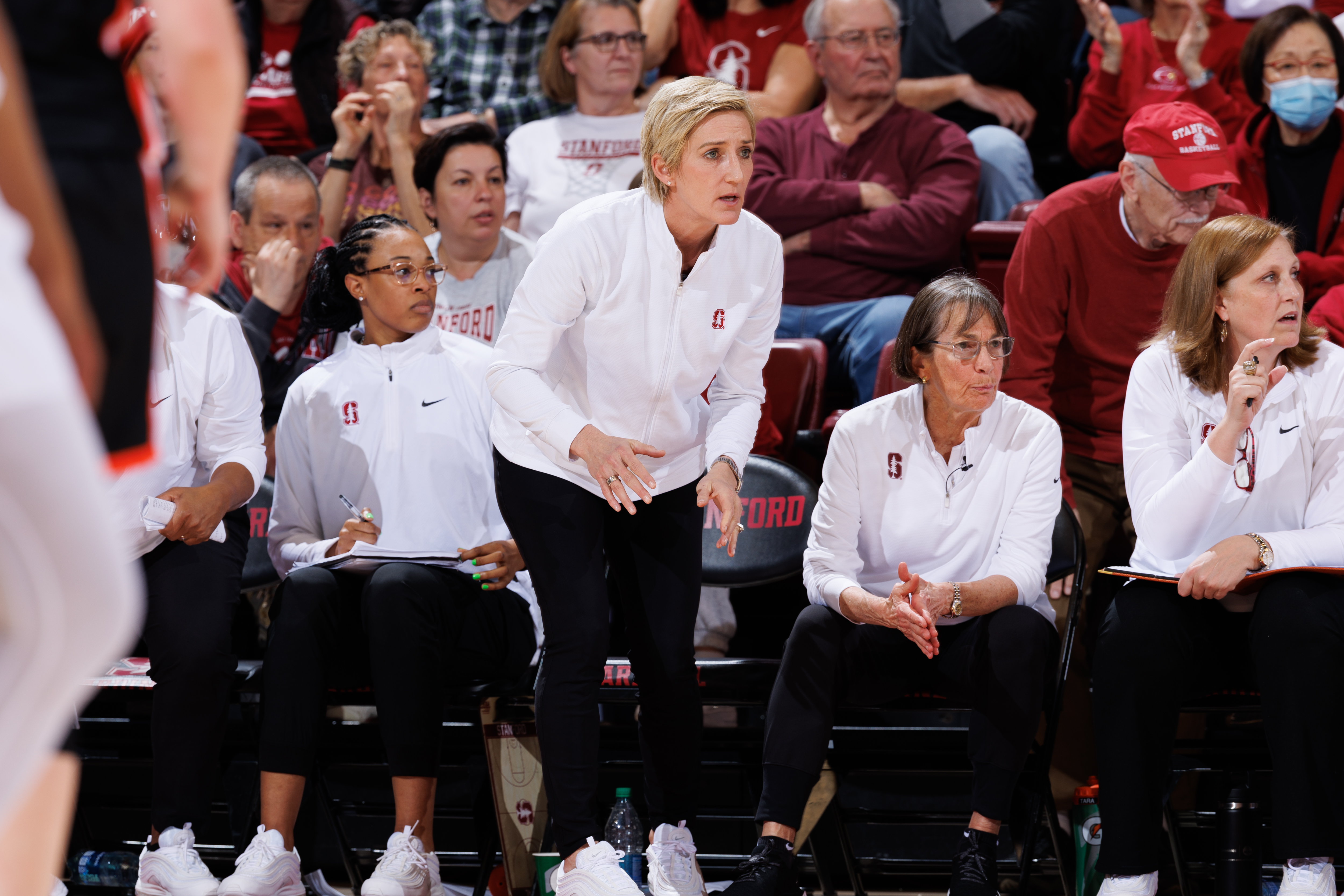 Kate Paye takes on Tara VanDerveer's legacy