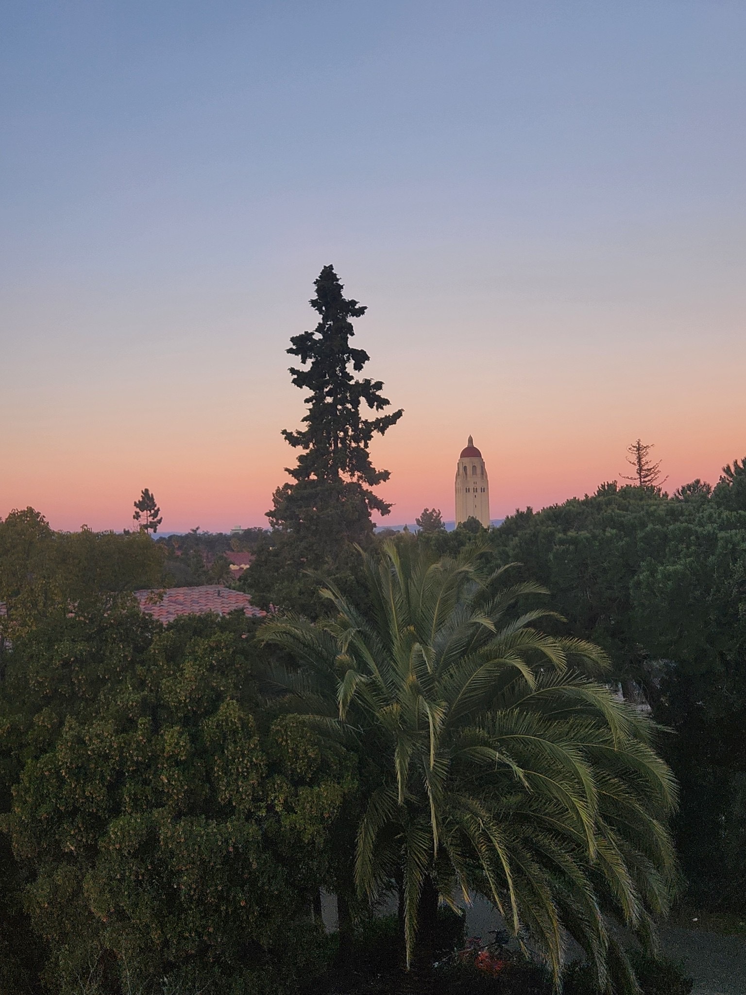 Was it worth it? Reflection after freshman fall