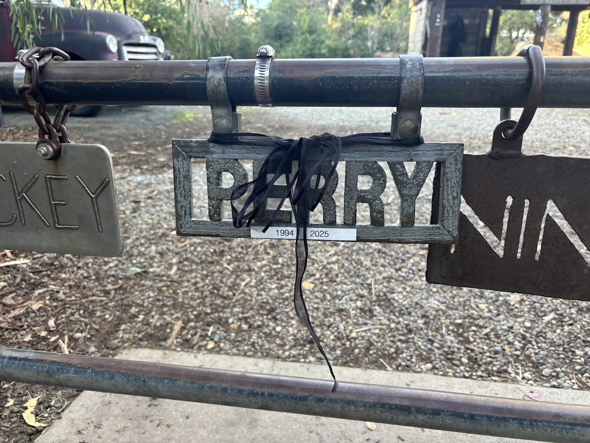 Community remembers beloved Perry the donkey from 'Shrek'