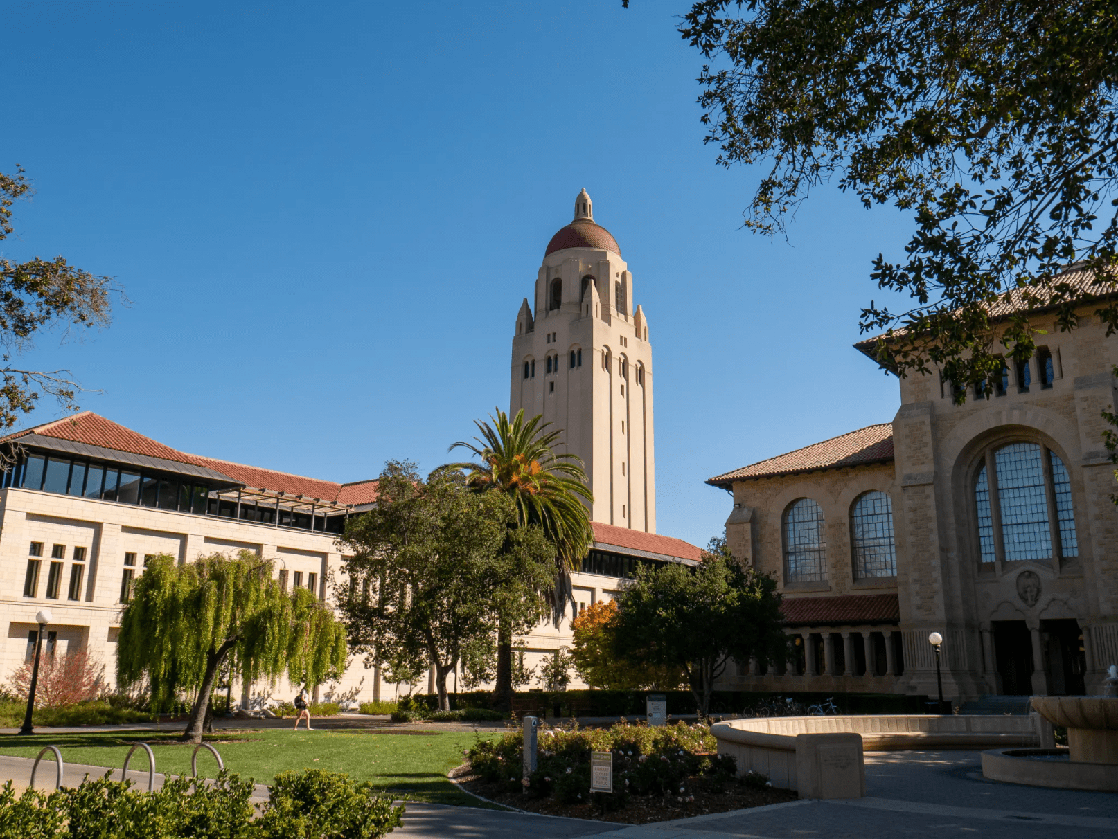 Mission over money: The real Stanford vibe shift