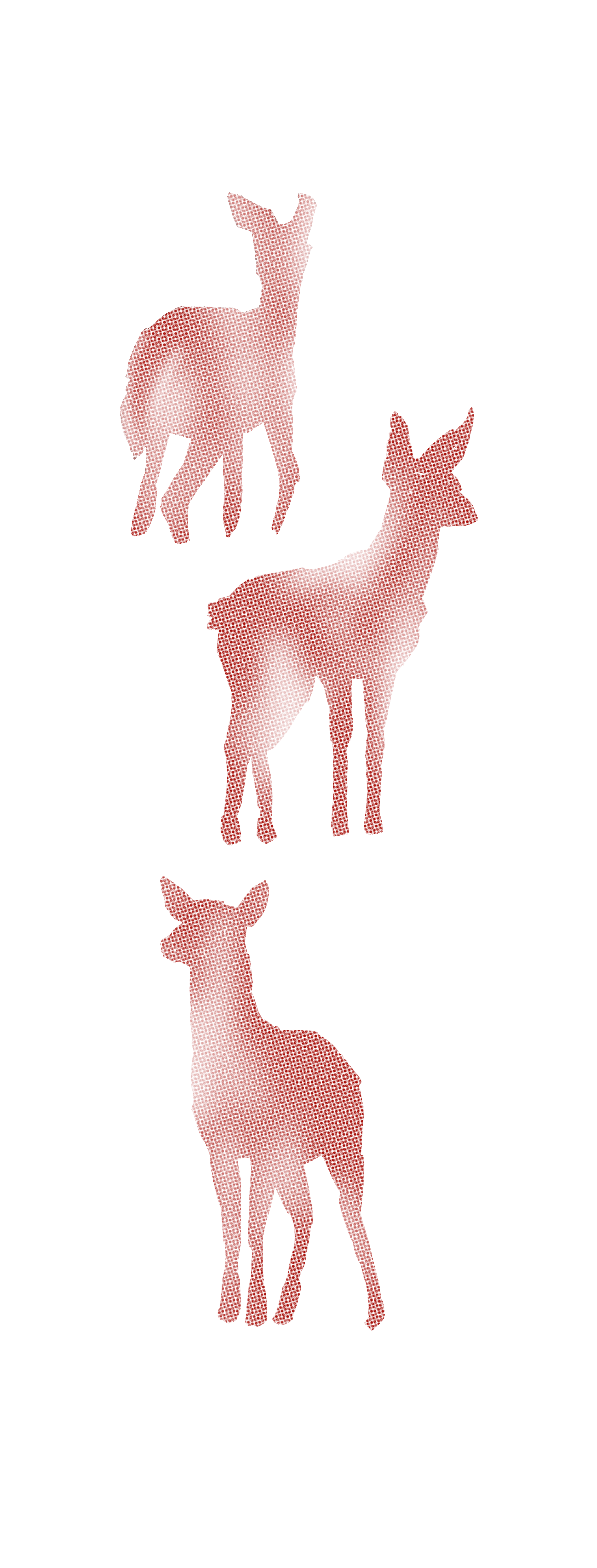 The Deer